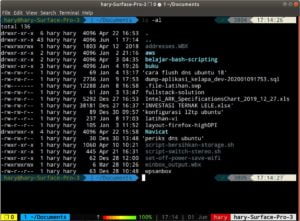 Perintah Dasar Linux ls (Disertai Contoh)