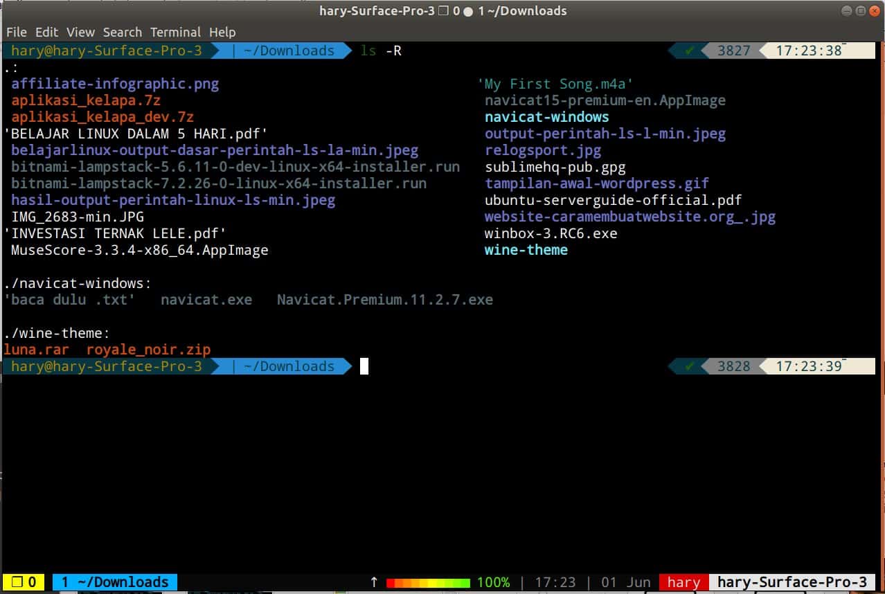 Perintah Dasar Linux ls (Disertai Contoh)