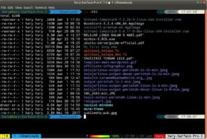 Perintah Dasar Linux ls (Disertai Contoh)